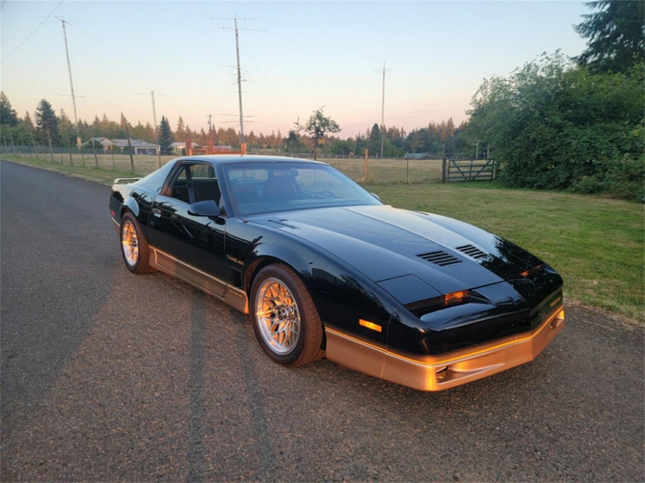 1985 Pontiac Firebird Trans Am for Sale | ClassicCars.com | CC-1624320