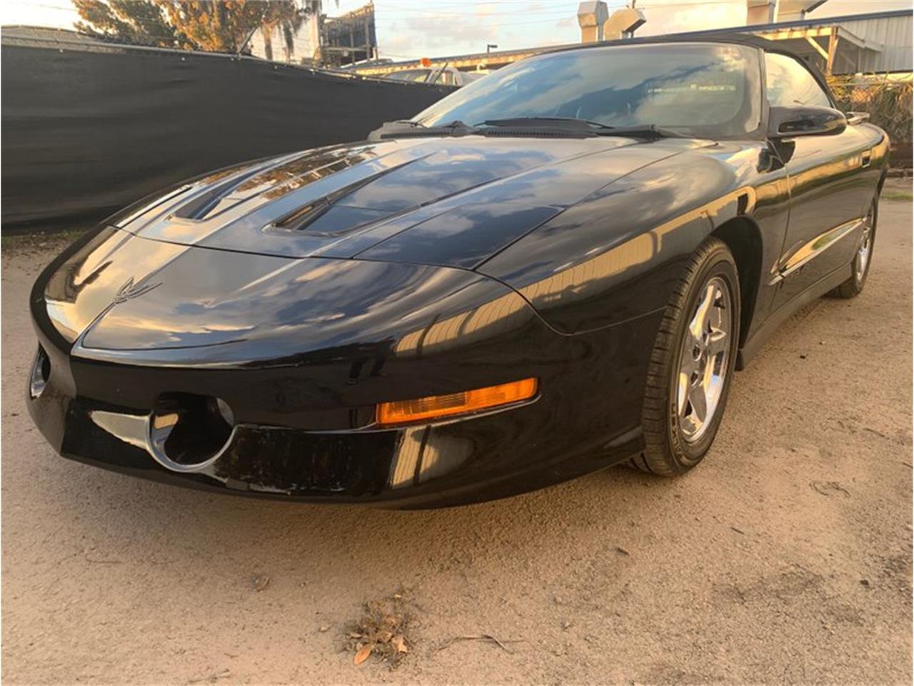 1996 Pontiac Firebird Trans Am for Sale | ClassicCars.com | CC-1633013