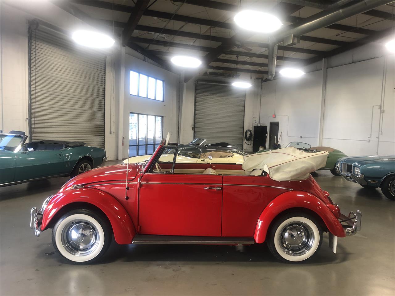 1965 Volkswagen Beetle for Sale | ClassicCars.com | CC-1637275