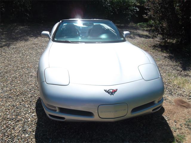 2001 Chevrolet Corvette for Sale | ClassicCars.com | CC-1644920