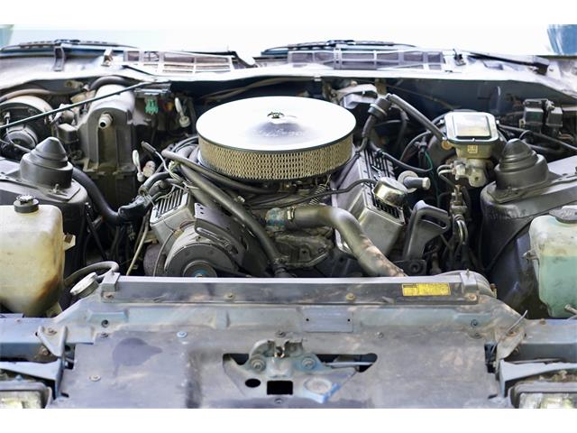 1984 Chevrolet Camaro IROC Z28 for Sale | ClassicCars.com | CC-1646942