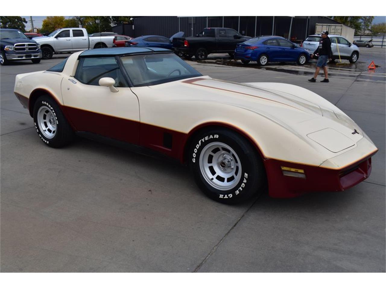 1981 Chevrolet Corvette for Sale | ClassicCars.com | CC-1663145