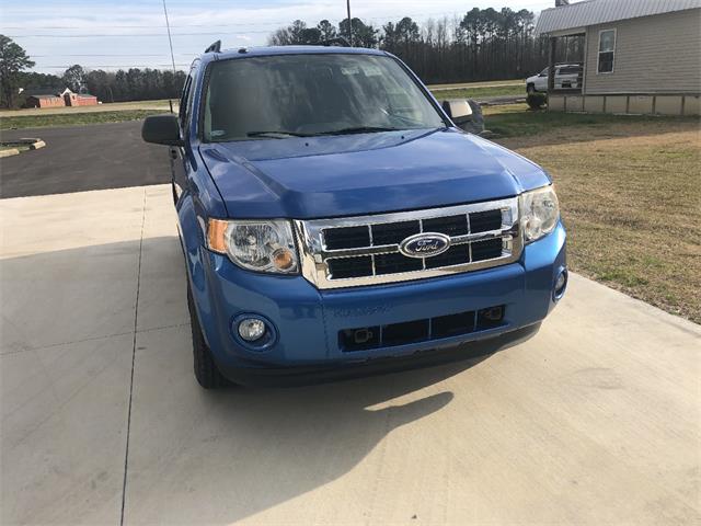 2012 Ford Escape for Sale | ClassicCars.com | CC-1666760