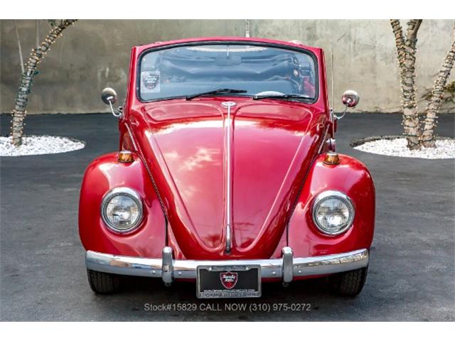 1967 Volkswagen Beetle for Sale | ClassicCars.com | CC-1668514