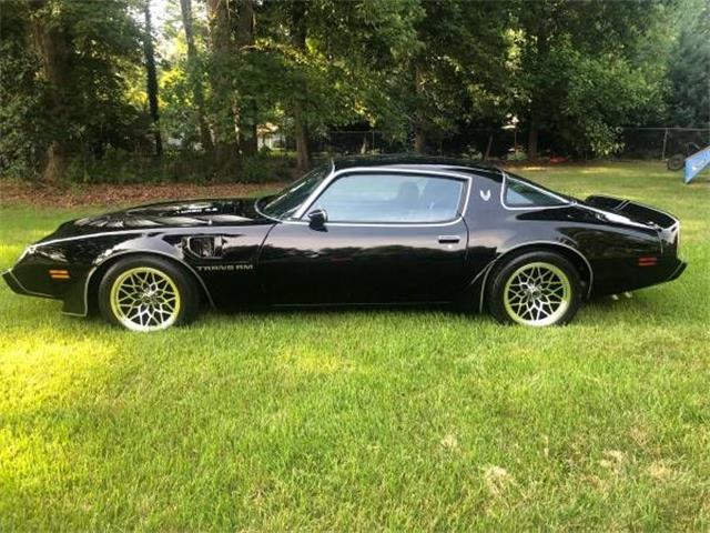 1981 Pontiac Firebird Trans Am for Sale | ClassicCars.com | CC-1669546