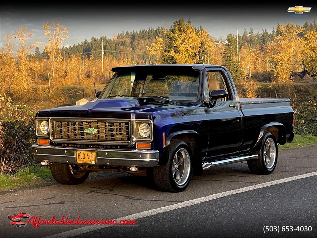 1973 Chevrolet C10 for Sale | ClassicCars.com | CC-1671176