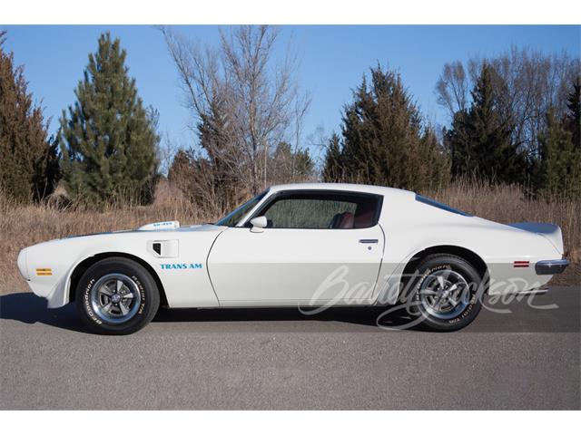 1973 Pontiac Firebird Trans Am for Sale | ClassicCars.com | CC-1672746