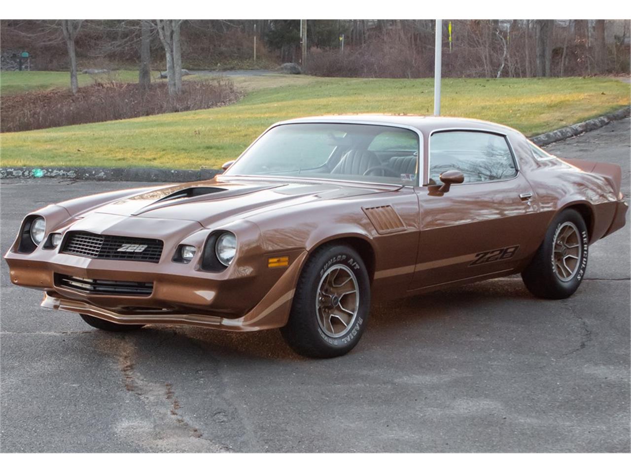 1979 Chevrolet Camaro Z28 for Sale | ClassicCars.com | CC-1676877