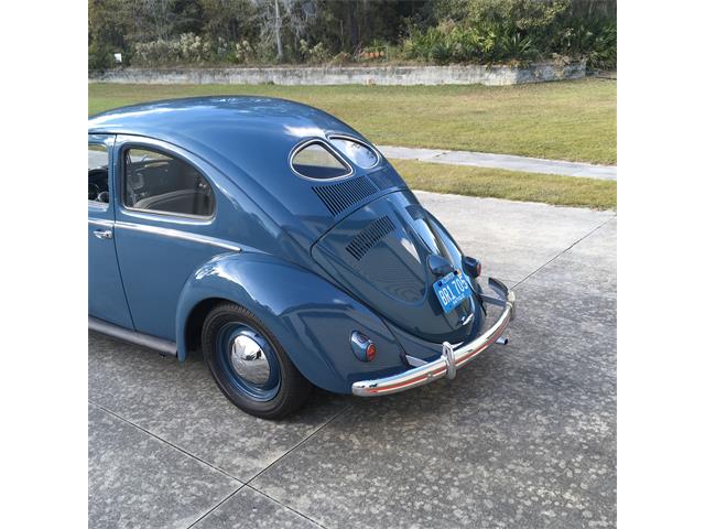 1952 Volkswagen Beetle for Sale | ClassicCars.com | CC-1681494