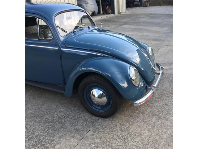 1952 Volkswagen Beetle for Sale | ClassicCars.com | CC-1681494