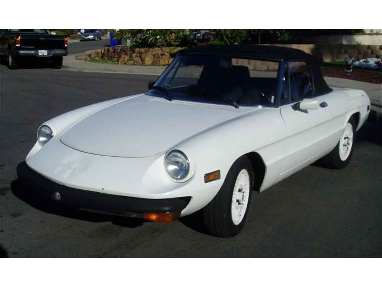 1977 Alfa Romeo 2000 Spider Veloce for Sale | ClassicCars.com | CC-1681731