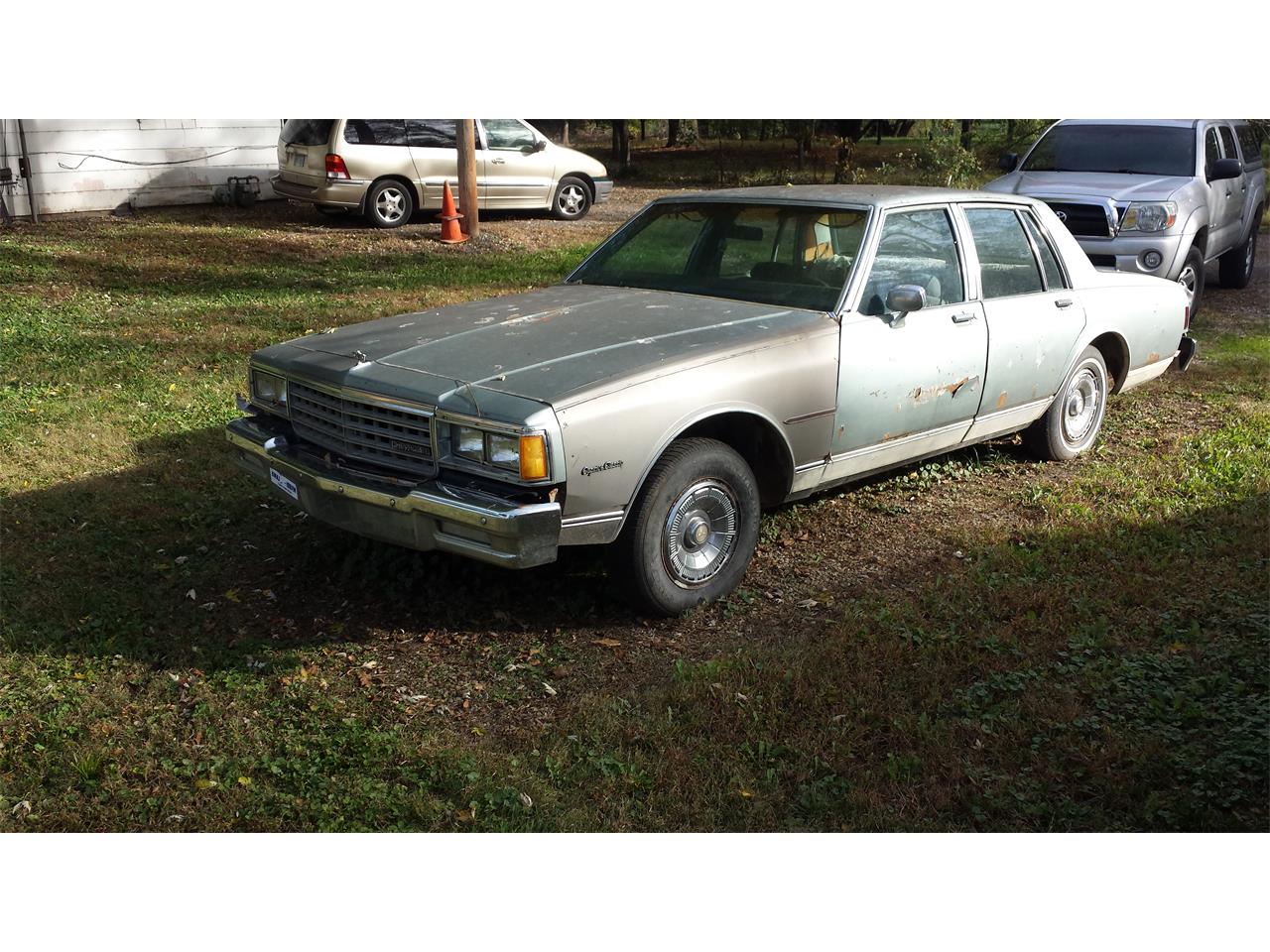 1981 Chevrolet Caprice for Sale | ClassicCars.com | CC-1682208