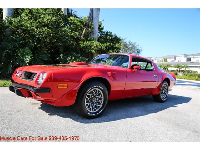1975 Pontiac Firebird Trans Am for Sale | ClassicCars.com | CC-1683414
