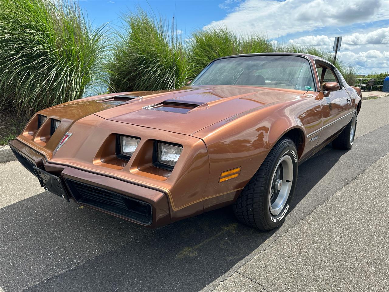1979 Pontiac Firebird for Sale | ClassicCars.com | CC-1683635