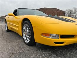 2003 Chevrolet Corvette for Sale | ClassicCars.com | CC-1688156