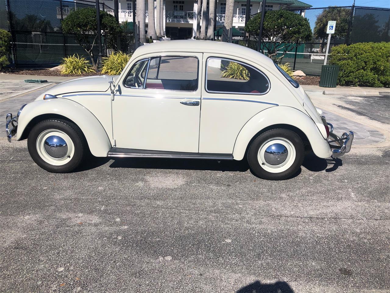 1965 Volkswagen Beetle for Sale | ClassicCars.com | CC-1691132
