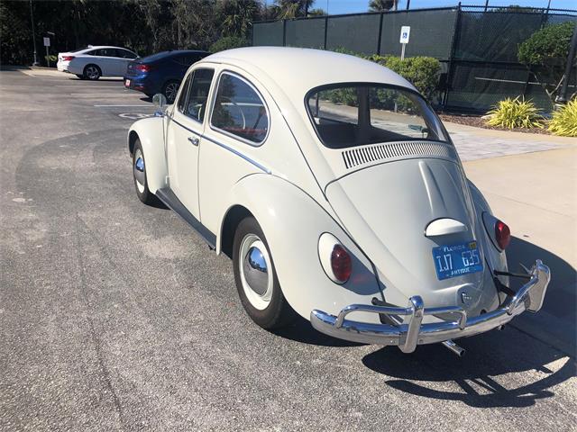1965 Volkswagen Beetle for Sale | ClassicCars.com | CC-1691132
