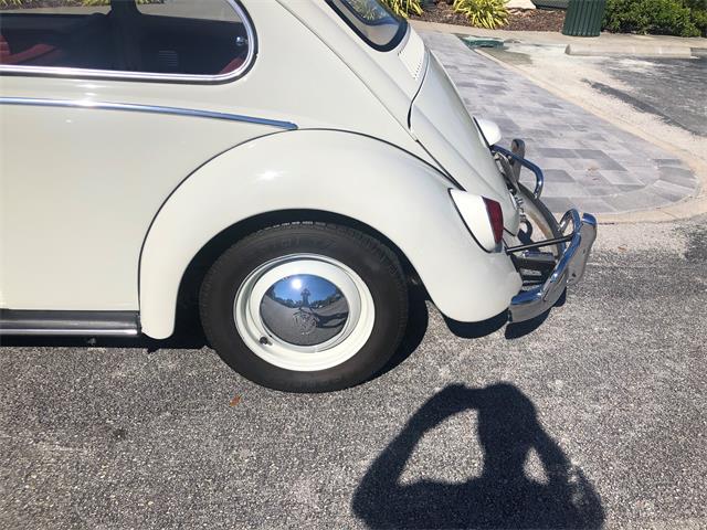 1965 Volkswagen Beetle for Sale | ClassicCars.com | CC-1691132
