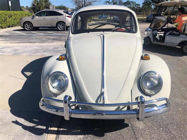 1965 Volkswagen Beetle for Sale | ClassicCars.com | CC-1691132