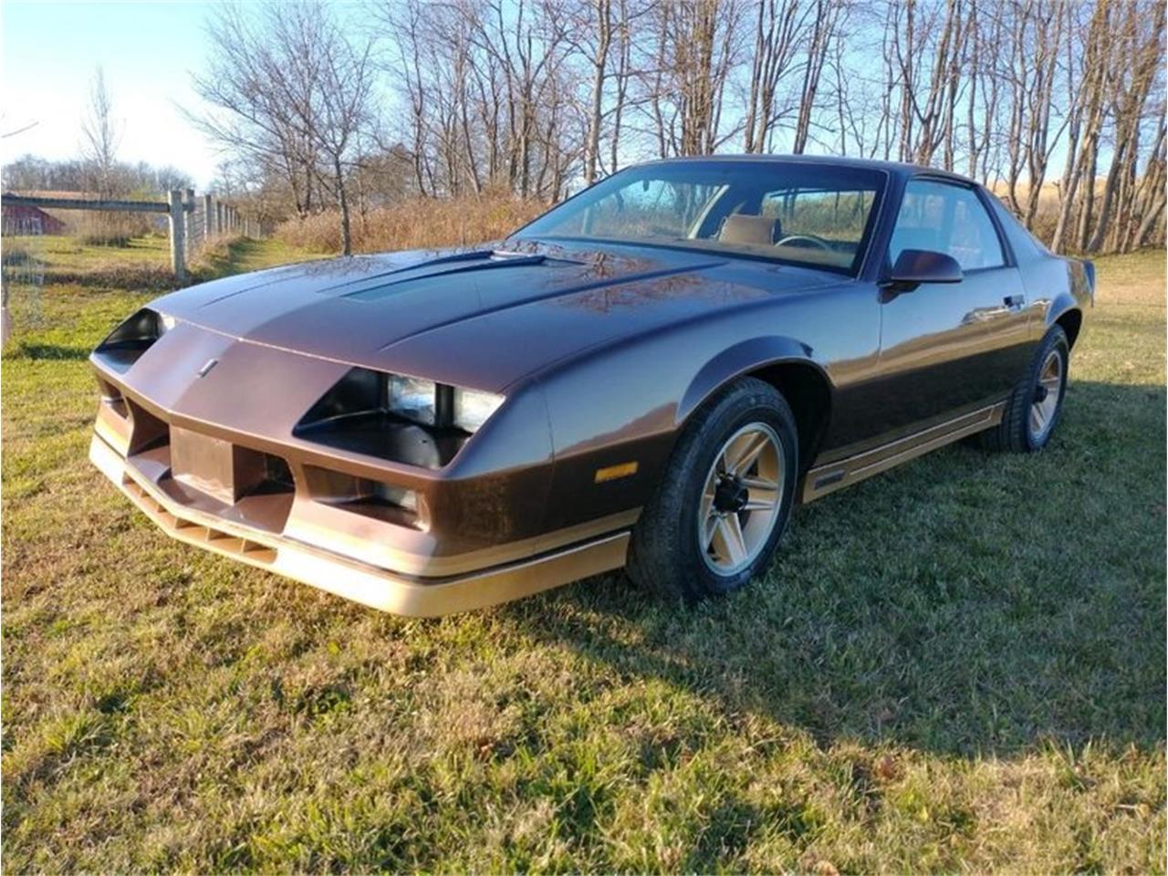 1983 Chevrolet Camaro Z28 for Sale | ClassicCars.com | CC-1692819
