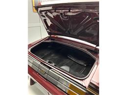 1981 Chevrolet Camaro Z28 for Sale | ClassicCars.com | CC-1693499