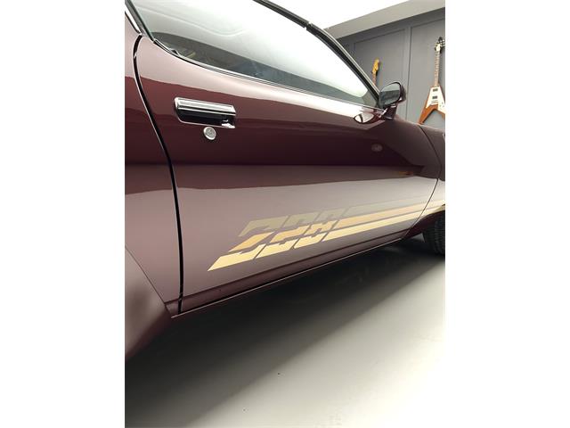1981 Chevrolet Camaro Z28 for Sale | ClassicCars.com | CC-1693499