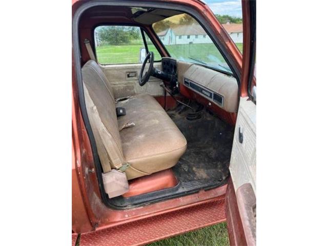 1978 Chevrolet C20 for Sale | ClassicCars.com | CC-1701630
