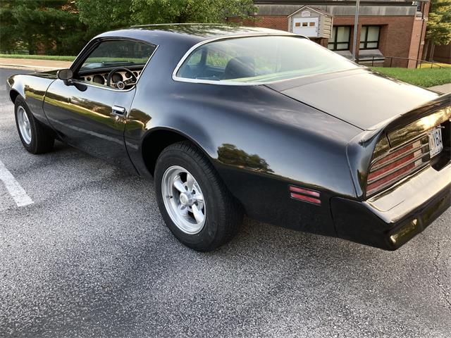 1978 Pontiac Firebird for Sale | ClassicCars.com | CC-1703498