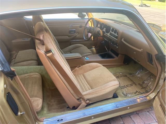 1979 Pontiac Firebird Trans Am for Sale | ClassicCars.com | CC-1713141