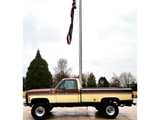 1978 Chevrolet C20 for Sale | ClassicCars.com | CC-1718737