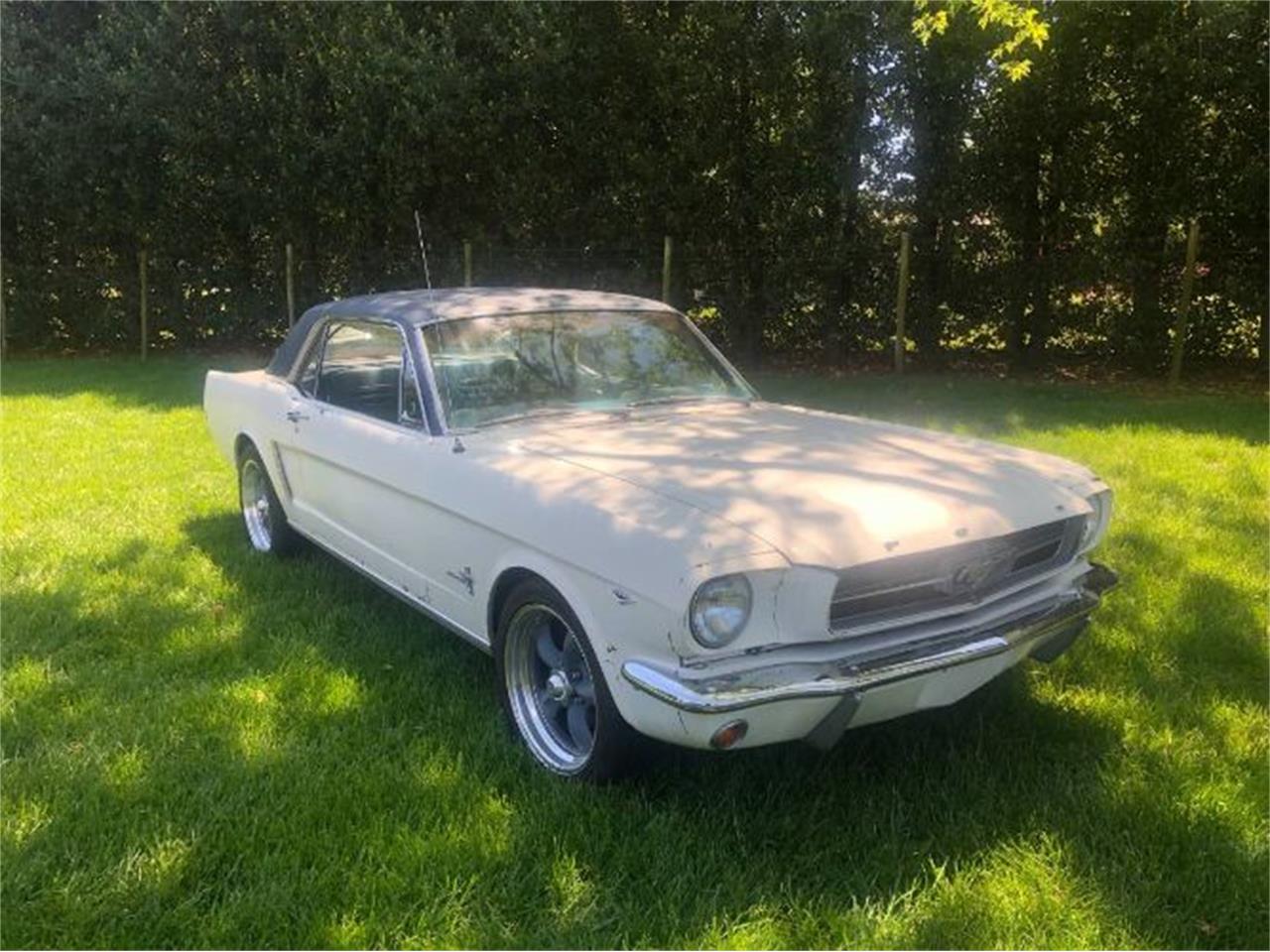 1965 Ford Mustang for Sale | ClassicCars.com | CC-1723788
