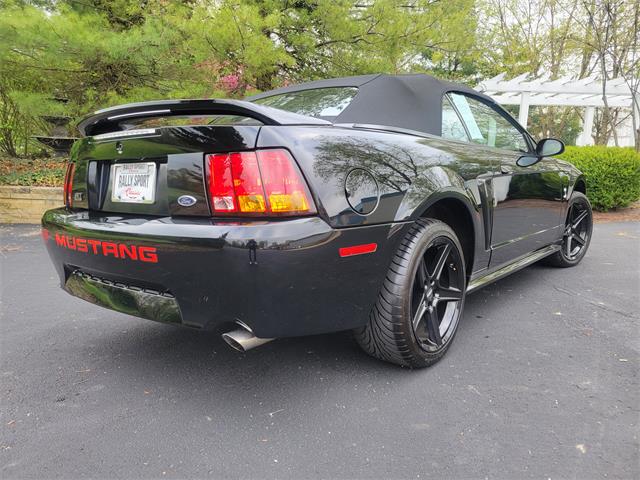 1999 Ford Mustang SVT Cobra for Sale | ClassicCars.com | CC-1720432