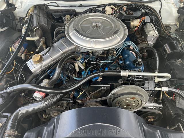 1978 Ford Thunderbird for Sale | ClassicCars.com | CC-1725502