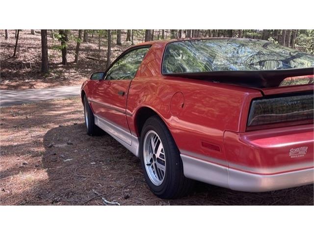 1985 Pontiac Firebird Trans Am WS6 for Sale | ClassicCars.com | CC-1726207