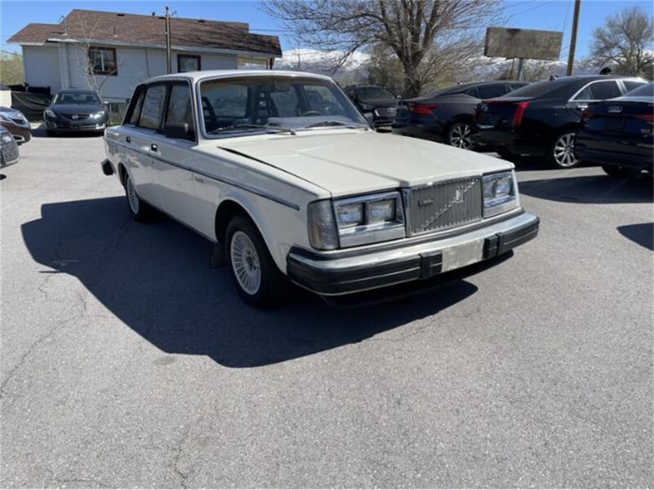 1982 Volvo 240 for Sale | ClassicCars.com | CC-1728973