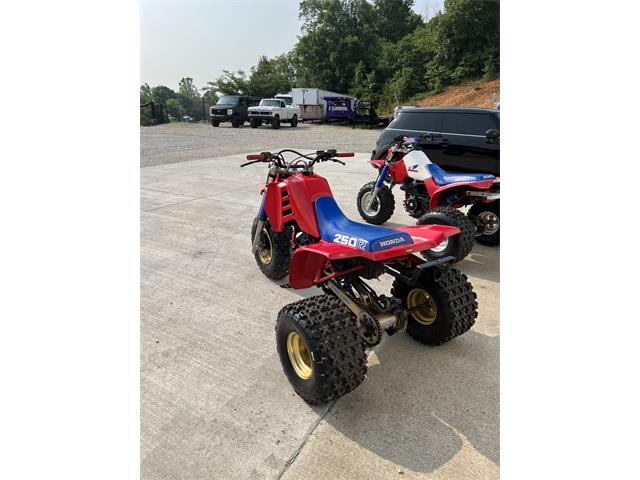1985 Honda Motorcycle for Sale | ClassicCars.com | CC-1735494
