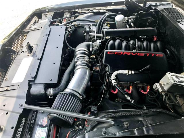 1977 Pontiac Firebird Trans Am for Sale | ClassicCars.com | CC-1737467