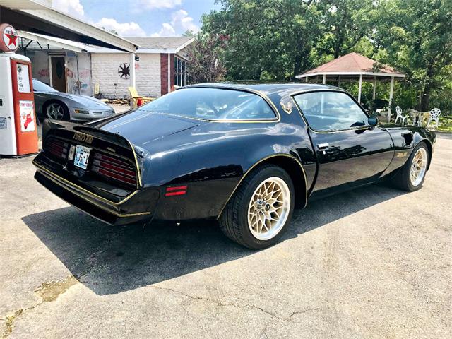 1977 Pontiac Firebird Trans Am for Sale | ClassicCars.com | CC-1737467