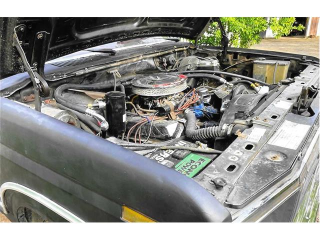 1982 Ford Bronco for Sale | ClassicCars.com | CC-1739050