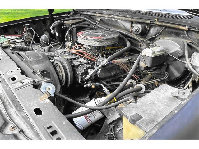 1982 Ford Bronco for Sale | ClassicCars.com | CC-1739050