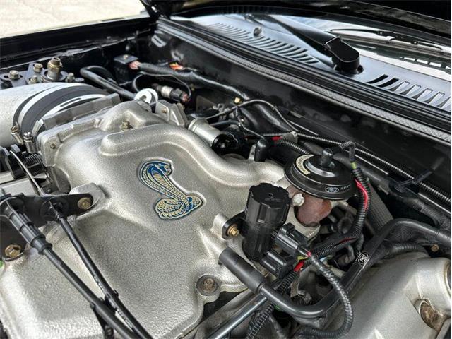 1999 Ford Mustang SVT Cobra for Sale | ClassicCars.com | CC-1739168