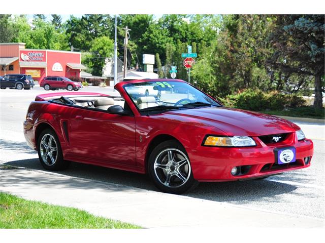 1999 Ford Mustang SVT Cobra for Sale | ClassicCars.com | CC-1747443