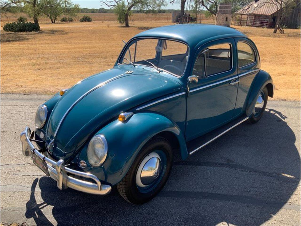 1964 Volkswagen Beetle for Sale | ClassicCars.com | CC-1759621