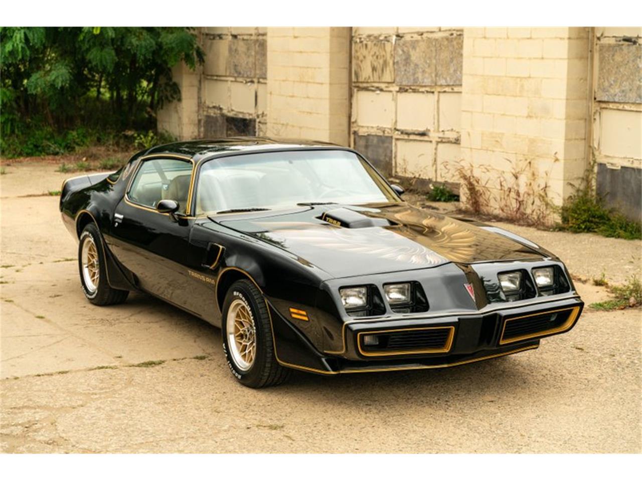 1981 Pontiac Firebird Trans Am for Sale | ClassicCars.com | CC-1774534