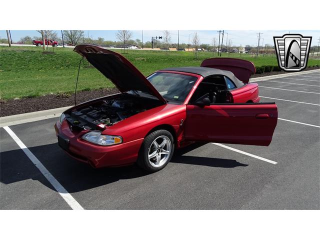 1998 Ford Mustang SVT Cobra for Sale | ClassicCars.com | CC-1774623