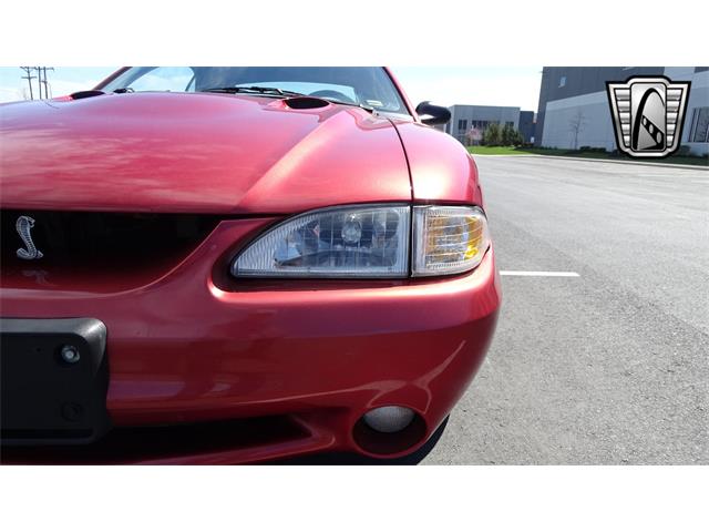 1998 Ford Mustang SVT Cobra for Sale | ClassicCars.com | CC-1774623