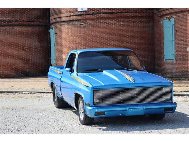 1981 Chevrolet C10 for Sale | ClassicCars.com | CC-1775061