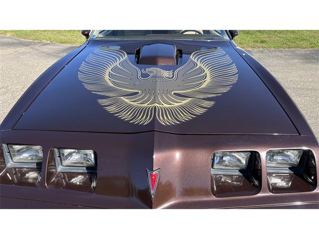 1981 Pontiac Firebird Trans Am for Sale | ClassicCars.com | CC-1776593