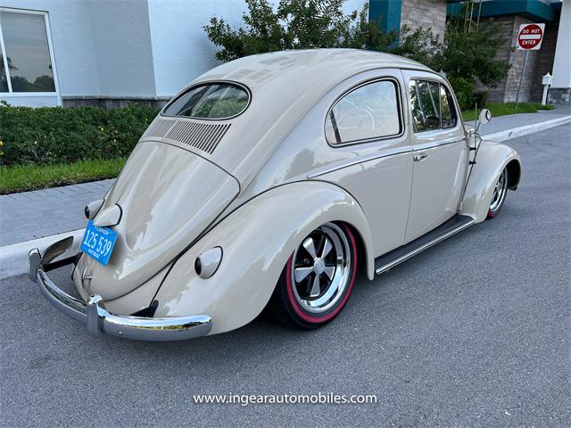 1955 Volkswagen Beetle for Sale | ClassicCars.com | CC-1770085