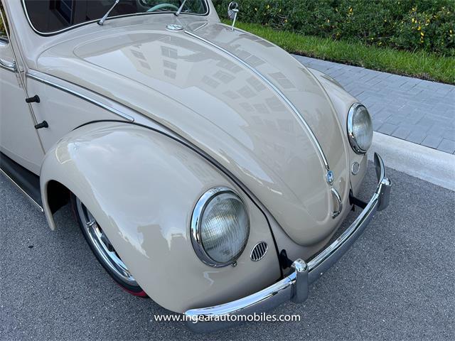 1955 Volkswagen Beetle for Sale | ClassicCars.com | CC-1770085